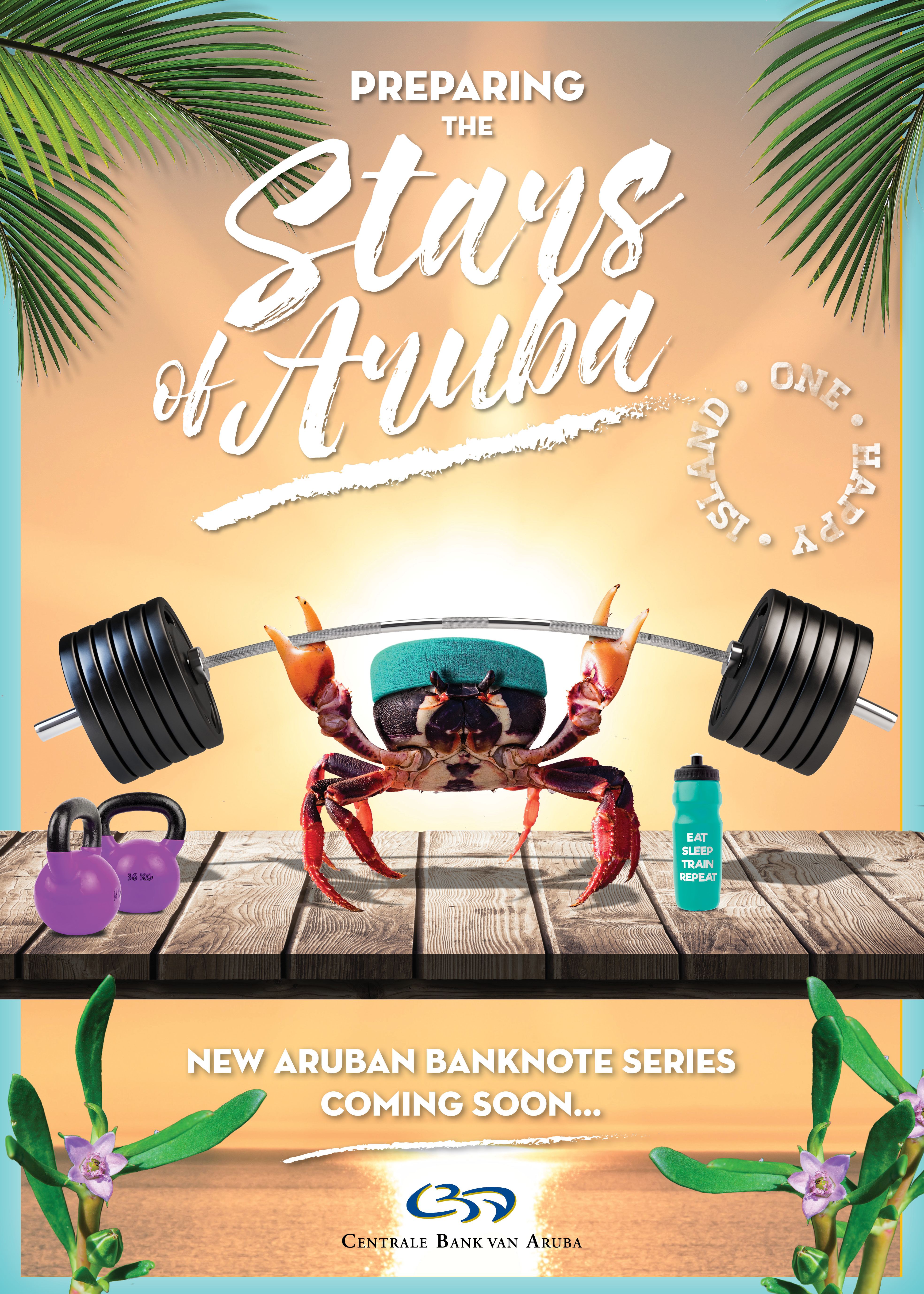 The Stars of Aruba - Issuing Banknotes with Humor and Public Interaction